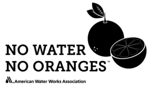 AWWA Sections